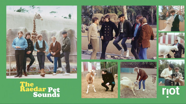 The Raedar - Beach Boys Summer: Pet Sounds